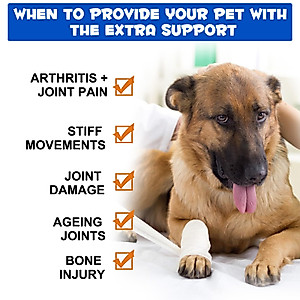 ALIVO Hip & Joint Glucosamine Drops for Dogs, Supports Joint Health, Dog Joint Pain Relief Treats - Enhances Mobility Support, Joint Supplement for Dogs, Bacon Flavor - 60ml / 2 fl.oz