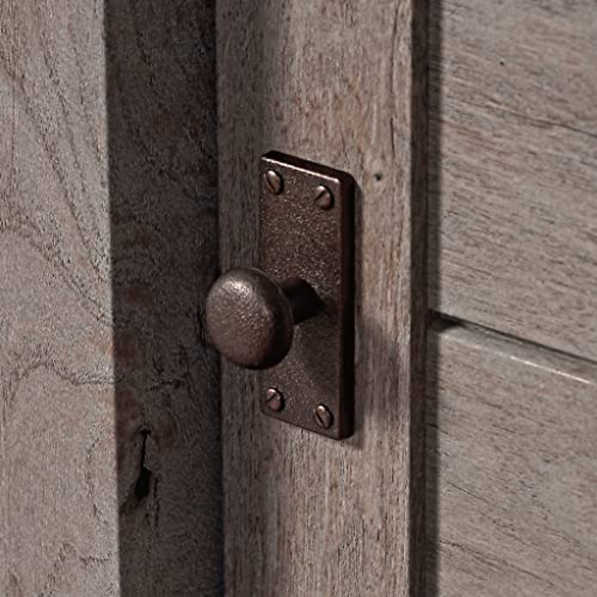 Sauder Cottage Road TV Credenza with Doors, L: 59.13" x W: 15.59" x H: 24.65", Mystic Oak Finish