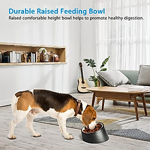 UPPETLY Tilted Angle Stainless Steel Dog Bowl, 15° Slanted No Spill Non-Skid Cat Food Bowl, Stress Free Food Grade Material Feeder for Pets Puppy Small Medium Dogs Black