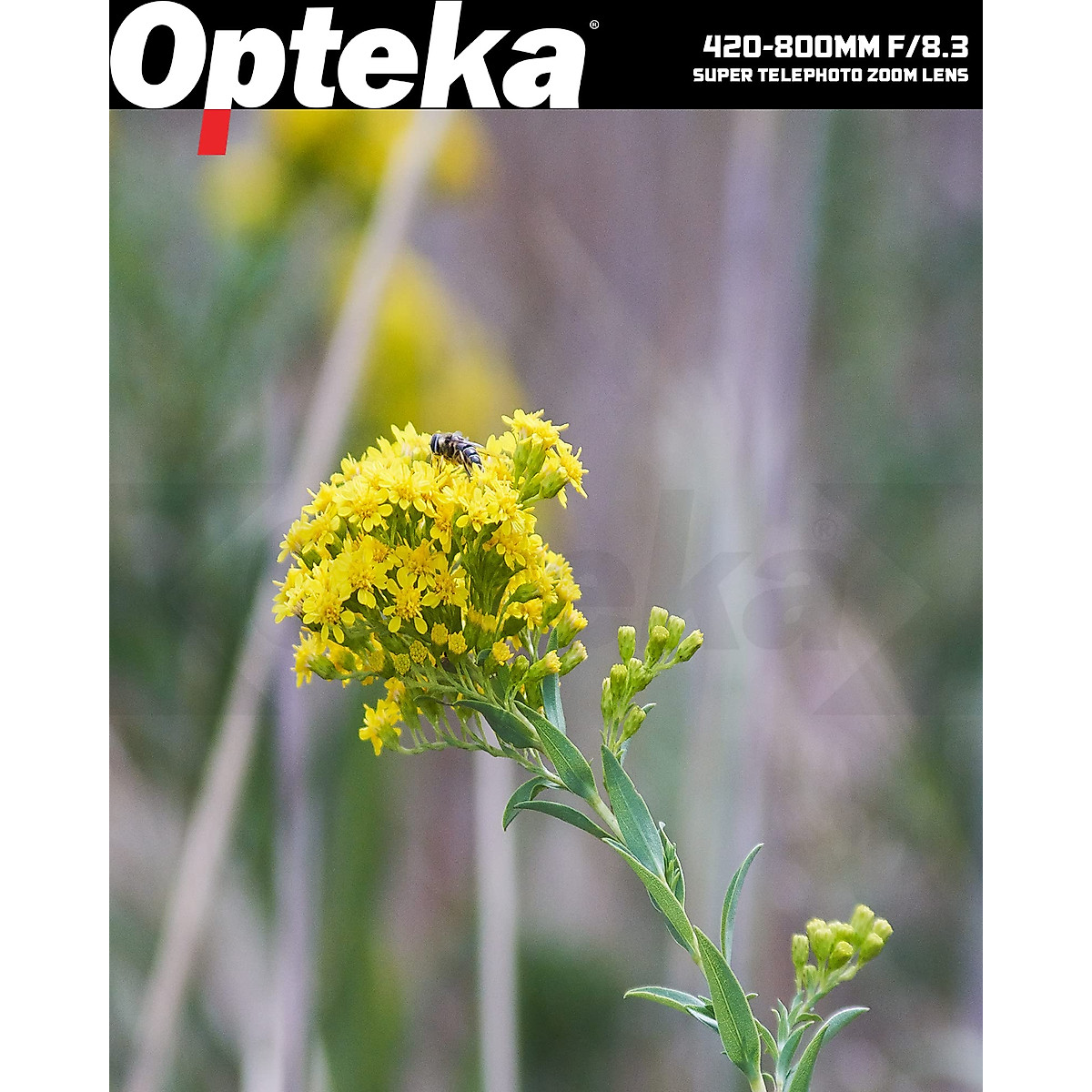 Opteka 420-800mm (w/ 2X- 840-1600mm) f/8.3 HD Telephoto Zoom Lens for Canon 90D, 80D, 77D, 70D, 60D, 50D, 7D, 6D, 5D, T7i, T7s, T7, T6s, T6i, T6, T5i, T5, T4i, T3i, SL3, SL2, SL1 Digital SLR Cameras