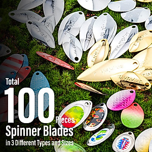 Dr.Fish 1410 Pieces Spinner Making Kit with Tackle Box Walleye Rig Lure Making Supplies Spinner Blades Lure Bodies Rig Floats Spinnerbait Shafts Freshwater Bass Fishing Materials