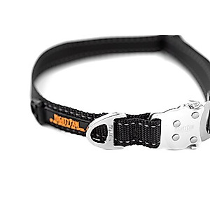 Mighty Paw Metal Buckle Dog Collar, All Metal Hardware, Lightweight Collar, Reflective Stitching, Strong, Durable (Medium, Black)
