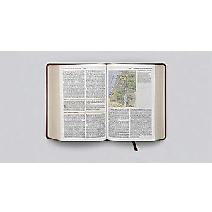 ESV Study Bible, Personal Size (TruTone, Brown)