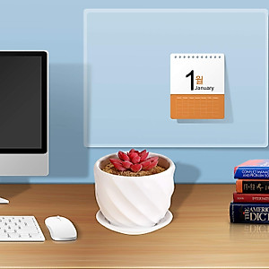 YINGERHUAN Set of 3 Ceramic Plant Pot - Flower Plant Pots Indoor with Saucers,Small to Medium Sized Round Modern Ceramic Garden Flower Pots (White)