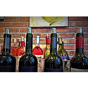 WineDisc The Original - Drop Stopping Flexible Pour Spout (10) Silver