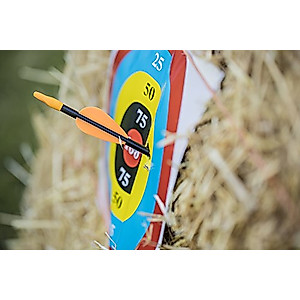 Bear Archery Youth Safety Glass Arrows, Durable & Splinter-Free Fiberglass Arrows, Nocks and Points Included, 28" Length