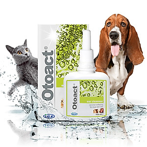 Fatro Otoact 100 Ml. 100 ml