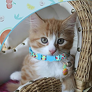12 Pieces Breakaway Cats Collar with Bell and Summer Fruit Patterns Pendants, Safety Adjustable Collar Set for Pets Decoration (Small)