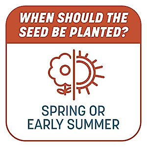 Pennington Smart Patch Bermudagrass Mix Jug 5 lb