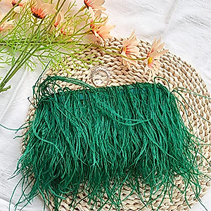 Ostrich Feather Shoulder Bag for Women Ladies, Handbag Holder Clutch Crossbody Purse, Travel Formal Wallet Light Organizer, Mini Fluffy Overnight Birthday Trendy Hot Designer Side Purse