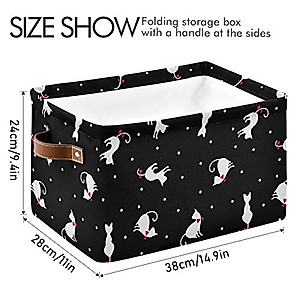 WELLDAY 1PCS Storage Basket Elegant Cat Large Foldable Storage Bin Cube Collapsible Organizer