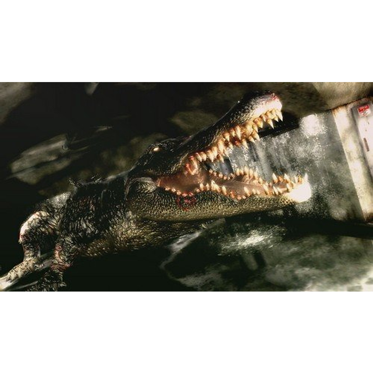 Resident Evil: The Darkside Chronicles