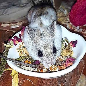 Flower Fusion Treat (8 oz.) - Healthy Natural Dried Flower Herbivore Treat - Chinchillas, Guinea Pigs, Rabbits, Prairie Dogs, Degus, Hamsters, Rats, Squirrels, Sugar Gliders & Other Small Pets