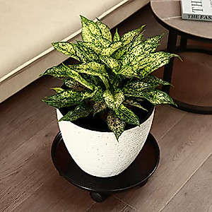 5 Packs Large Plant Caddy with Wheels 15&quot; Rolling Plant Stands Heavy-duty Plastic Plant Roller Base Pot Movers Plant Saucer on Wheels Indoor Outdoor Plant Dolly with Casters Planter Tray Coaster Black