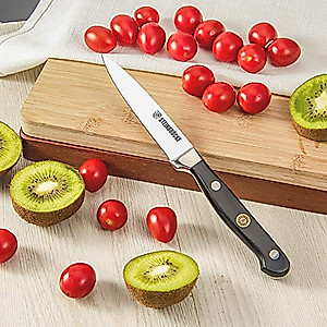 Gioventù Paring Knife 4 inch - Small Kitchen Knife Forged from German Stainless Steel 5Cr15Mov (HRC58), Full Tang, Sharp Paring Knife for Cutting, Peeling, Slicing Fruits and Vegetables
