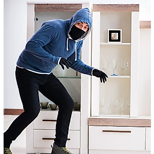 Conceal-a-Cam Home Security Camera Enclosure - White