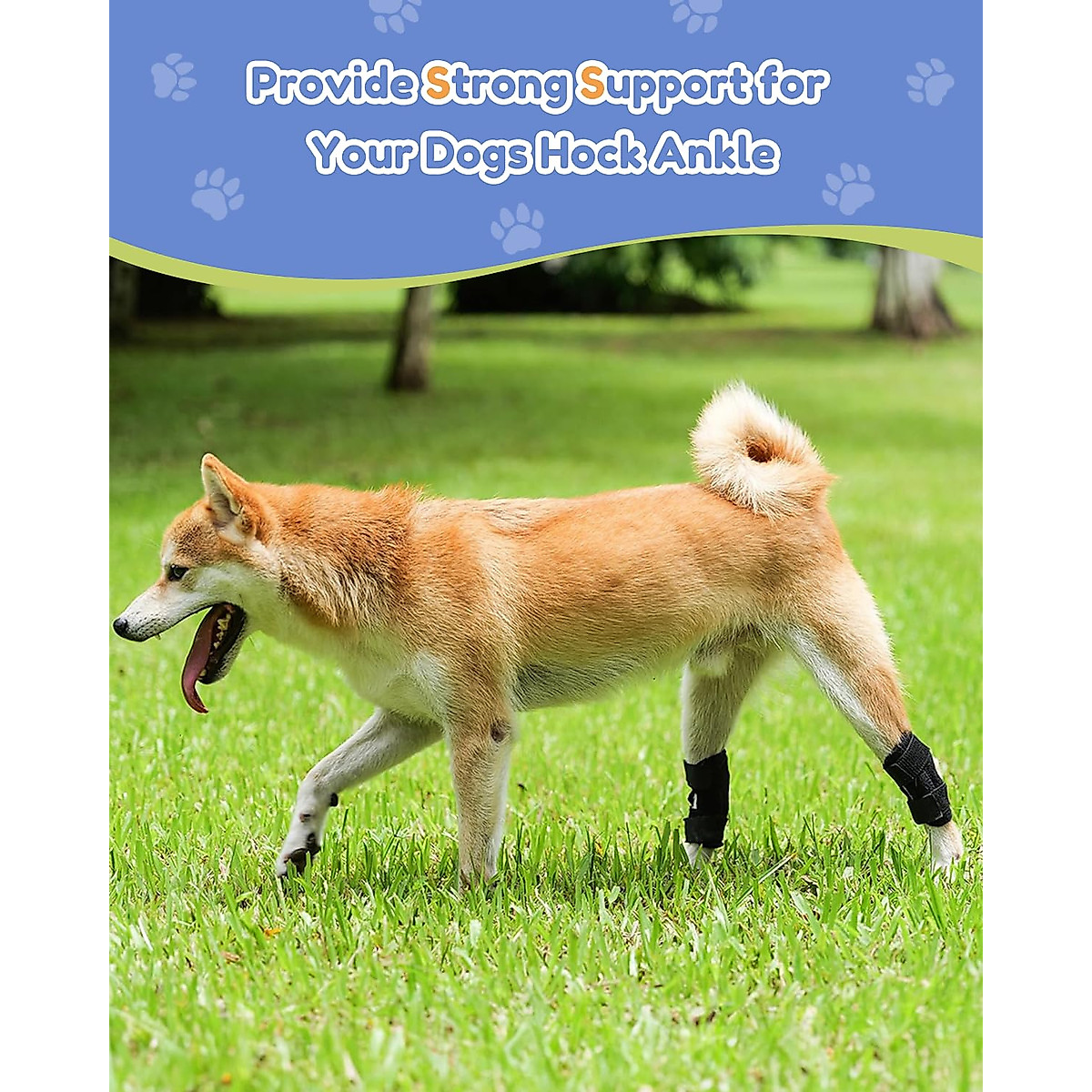 Huimpet Short Rear Leg Hock Brace, Dog Leg Braces for Back Leg with Flexible Velcro, Dog ACL Brace hind Leg, Hock & Ankle Support, Dog Leg Sleeve Protect Wound and Pain Relief, Medium,1 Pair, Black