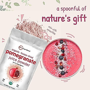 Organic Pomegranate Juice Powder, 1 Pound | 100% Natural Fruit Powder | Freeze Dried & Cold Pressed | No Sugar & Additives | Great Flavor for Drinks, Smoothie, & Beverages | Non-GMO & Vegan Friendly