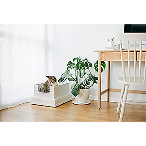 SpeedySift V2 Deluxe Cat Litter Box Starter Kit, Includes 56ct Disposable Sifting Liners, White