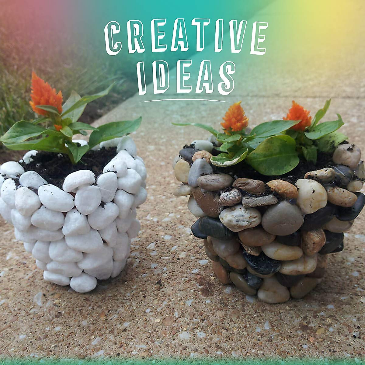 Katzco 2 Pounds Small Decorative River Rock Stones - Natural Polished Mixed Color Stones -Use in Glassware, Like Vases, Aquariums and Terrariums to Enhance The Appearance