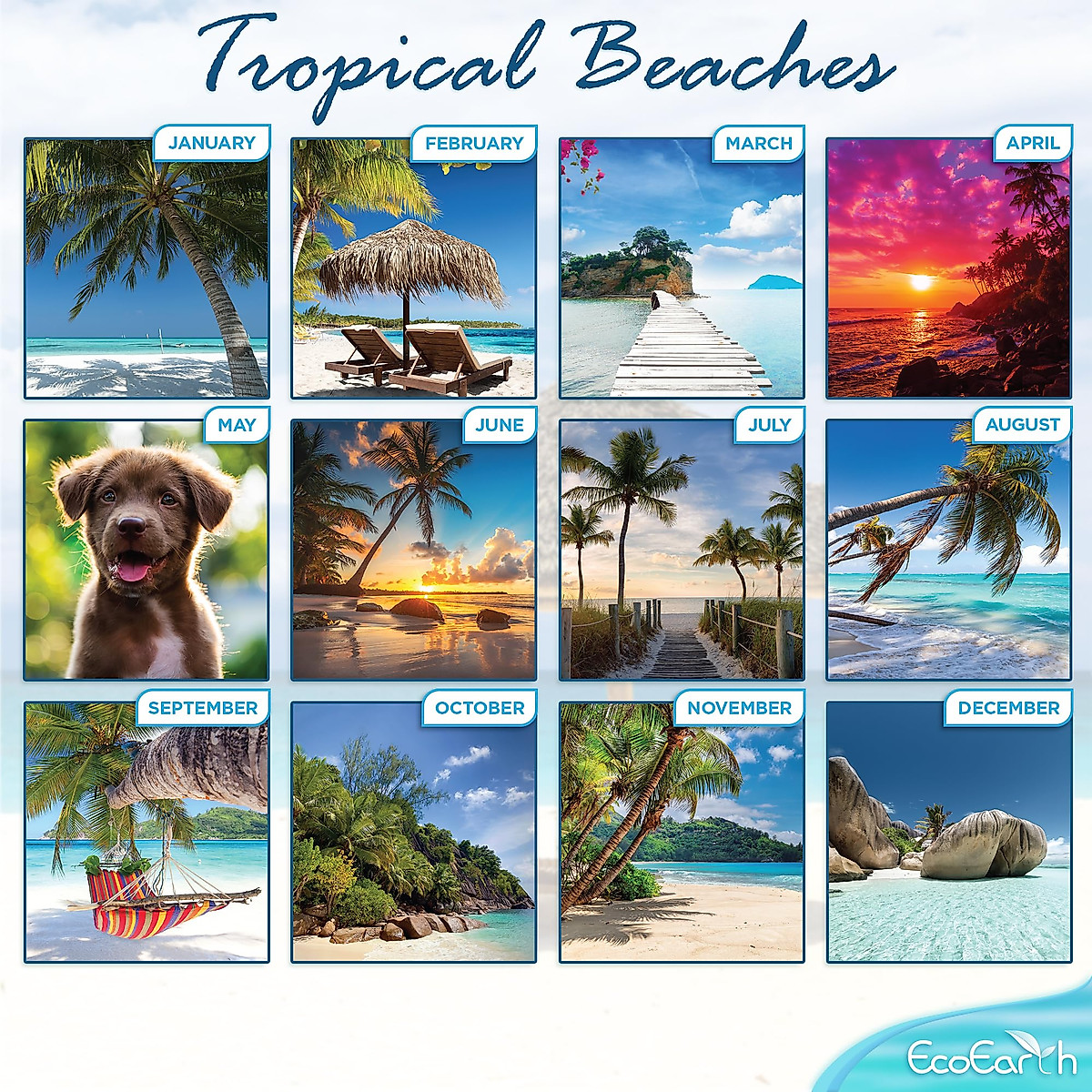 EcoEarth Biodegradable 11x22 Inch (Open) 18-Month Vertical Hanging Wall Calendar, Jul 2023 - Dec 2024 Monthly Calendar, Tropical Beaches