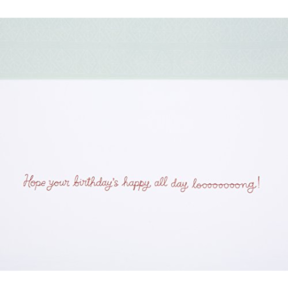 Hallmark Signature Birthday Card with Removable Dachshund Magnet (Dog in Sweater)