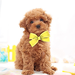 Yellow Wired Edge Ribbons 2.5" 10 Yards, Spring Solid Wired Edge Decoration Fabric Craft Burlap Wrapping Ribbon for Holiday Party Wrapping DIY Craft Wedding Decoration Wreaths Bow