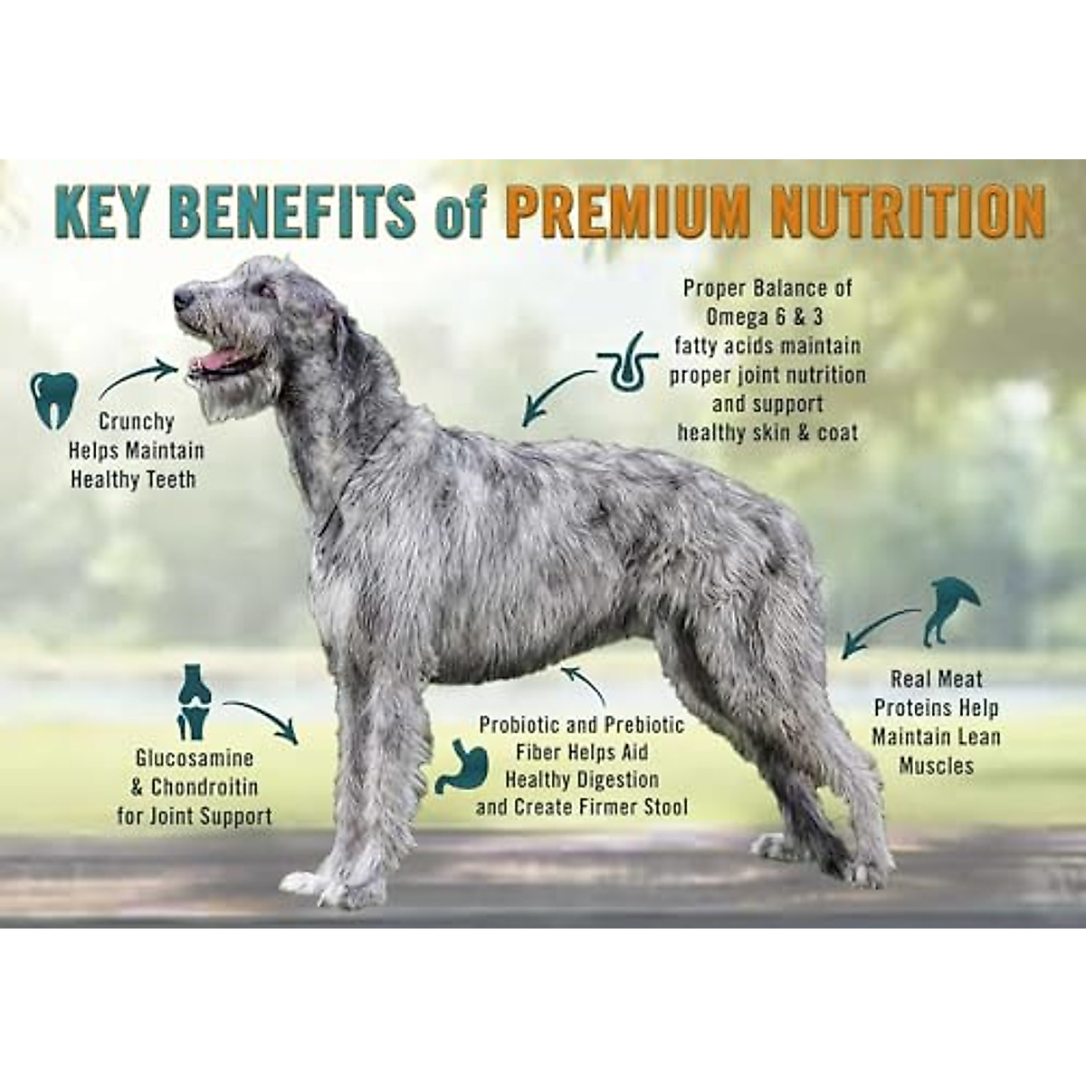 Chicken Soup for The Soul Classic Dry Large Breed Adult Dog Food, Beef & Brown Rice Recipe, 28 Pound Bag | Soy Free, Corn Free, Wheat Free, Made with Real Ingredients