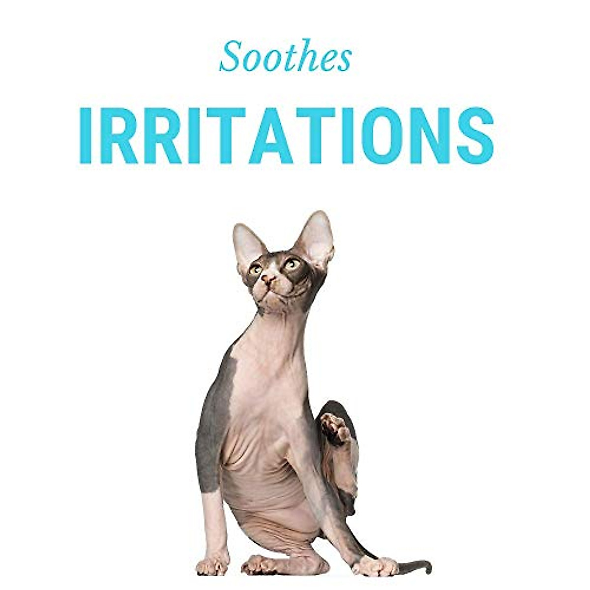 CatFresh Oatmeal Skin & Coat Spray Cleanses & Detangles, Soothes Irritations That Cause Excessive Licking, Chewing & Scratching, Moisturizes & Rejuvenates Skin, Neutralizes Odors & Removes Dander