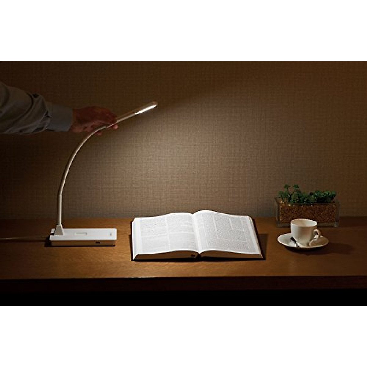 SHABBOSLITE® LED Table Lamp White