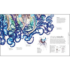 Zoology: Inside the Secret World of Animals (DK Secret World Encyclopedias)