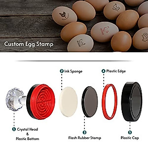 Egg Stamp, Custom Egg Stamp, Personalized Egg Stamp, Egg Stamps for Fresh Eggs, Farm Fresh Egg Stamp, Chicken Egg Stamp Personalized, Fresh Egg Stamp, Custom Duck Egg Stamp, Chicken Egg Stamps