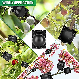 Plant Root Growing Box, 15Pcs Reusable Plant Rooting Device With 40pcs Cable Zip Ties Kit Air Layering High-pressure Plant Tree Propagation Ball Rooter Boxes For Rose Tree Fruit Bush ( 5L+5M+5S Black)