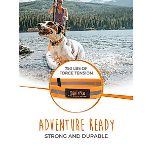 Mighty Paw Waterproof Dog Collar - Smell-Proof Active Gear - Reflective Stripe Coated Nylon Webbing - Dog Swim Collar - Smell Resistant Dog Collar - Dog Collar for All Dog Breeds - (Orange, Medium)