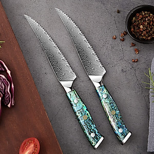 SENKEN 4-Piece Damascus Steak Knife Set - Umi Collection - 67-Layer Japanese VG10 Steel, Real Deep-Sea Abalone Shell Handle (4-Piece Damascus Steak Knife Set)