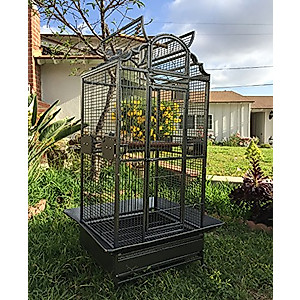 Large Elegant Wrought Iron Open Dome Play Top Bird Parrot Cage, Include Large Front Door and Small Pull Down Door, Metal Seed Guard, Solid Metal Feeders, Breeding Doors