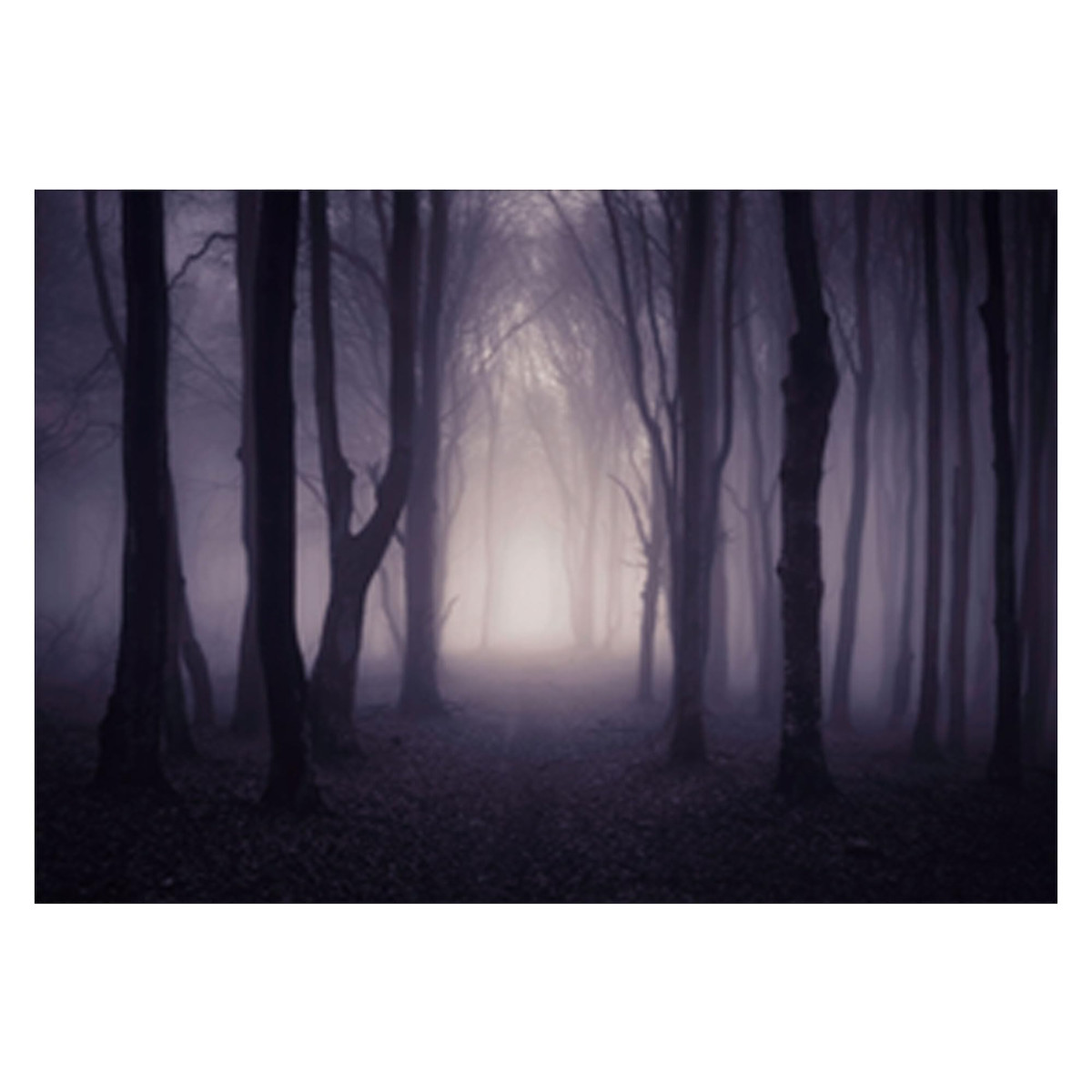 Allenjoy 7x5ft Misty Dark Forest Woods Halloween Backdrop for Photography Gloomy Grove Mystery Background for Portrait Magic Witch Wizard Sorcerer Ghost Themed Party Banner Decors Photo Props