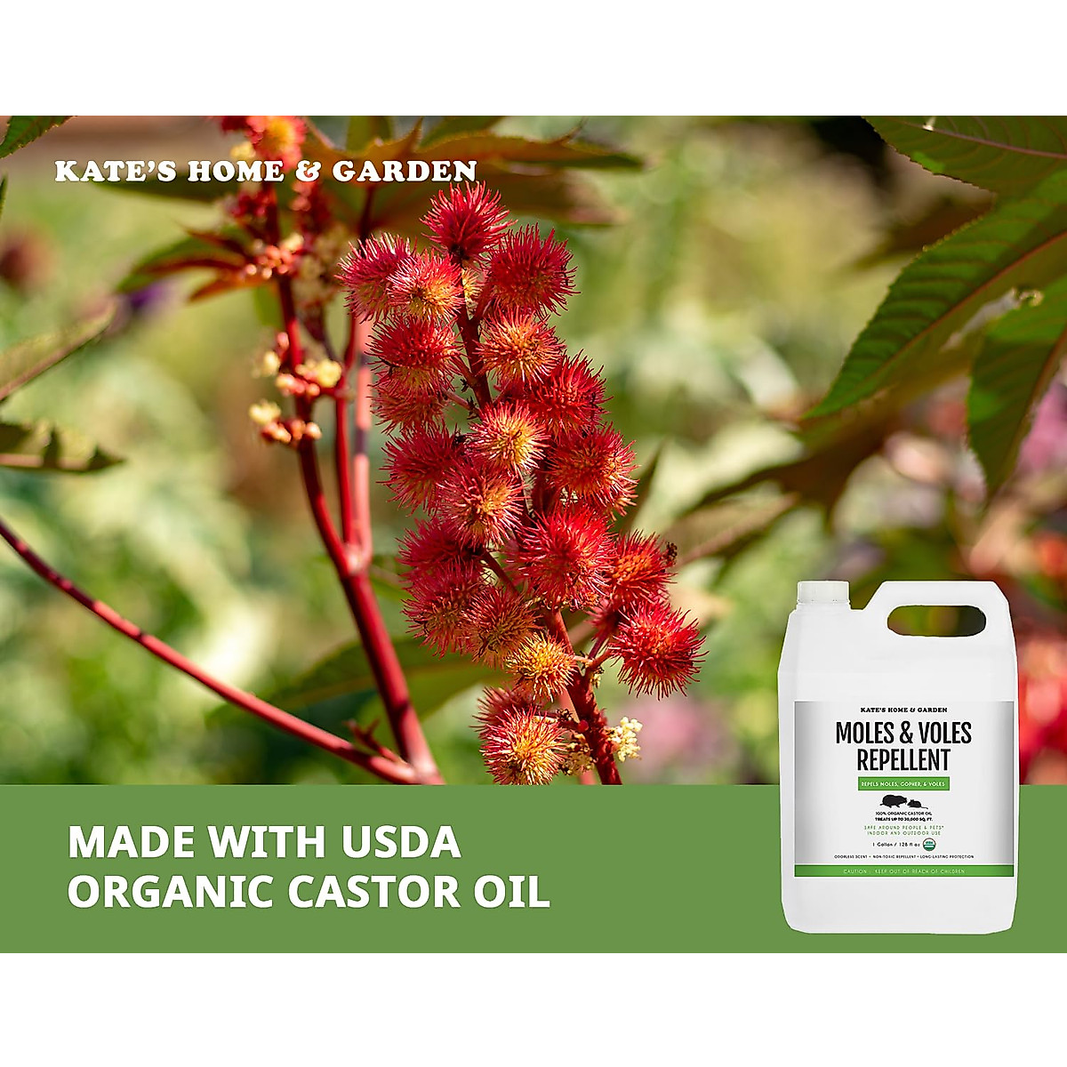 Mole & Vole Repellent for Lawns - Organic Castor Oil (128oz - 1 Gallon) - Kate's Home & Garden. Pet Safe & Non-Toxic. Pure Organic Castor Oil to Repel Moles, Voles, Rodents & Gophers Outdoor