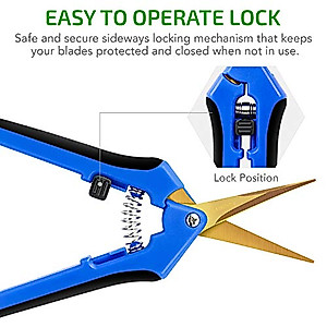 iPower GLPRNR6BLTI 6.5" Pruning Shear Hand Pruner for Gardening Potting with Titanium Coated Curved Precision Blades, 1-Pack, Blue
