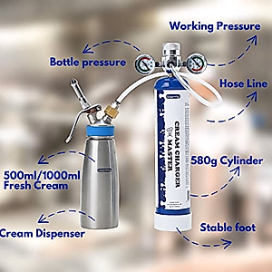 GreatWhip Whipped Cream Chargers 9 Cylinder 615 gram Pure N2O 0.99 Liter Nitrous Tank Compatible with Cream Whippers (9 Cylinders)