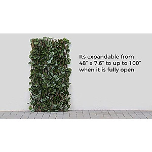 Verseo Artificial Ivy Privacy Fencing System, Faux Ivy Vine & Willow Branch Lattice, Adjustable Ivy Wall Privacy Screen, Expandable Horizontal or Vertical up to 96" (Set of 2, for 192" of Coverage)
