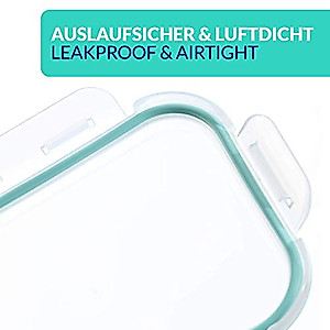 Praknu Meal Prep Storage Container - Pack of 4 - BPA Free - Leak Proof - Dishwasher Safe - Glass Storage Containers with Lids (50oz, 34oz, 17oz, 10oz)