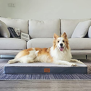 Sunheir Orthopedic Dog Bed for Medium, Large and Extra Large Dogs, Large Dog Bed with Removable Waterproof Cover and Egg-Crate Foam, Pet Bed Machine Washable (36 x 27 x 3 inch, Grey)