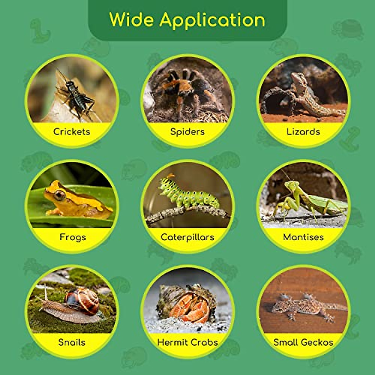 Plastic Reptile Terrarium, Nobleza Reptile Tank with Handle for Lizard Hermit Crab Turtle, Portable Reptile Enclosure for Tarantula Spider Tortoise Cricket, Medium Critter Keeper for Small Animal