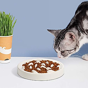 MSBC Pet Slow Feed Dish for Cats and Small Dogs - Fish Pool Design, Fun Interactive Bloat Stop Puzzle Feeder Bowl Healthy Eating Diet Food Grade Melamine Material Easy to Clean Dishwasher Safe (White)