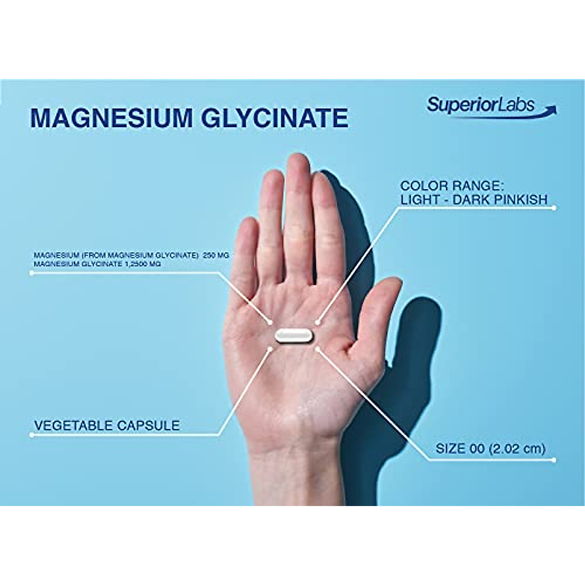 Superior Labs - Magnesium Glycinate - 1250 mg, 120 Vegetable Capsules - Essential Mineral - Maintains Energy - Healthy Bones and Muscle Function- Relaxation & Sleep
