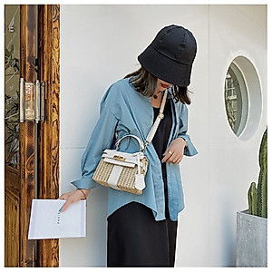 BZGWECD Handmade Rattan Crossbody Bags for Women, Summer Straw Bag Handbags Beach Bag PU Summer New Flap Crossbody Bag (Color : White, Size : 18x8x15cm)