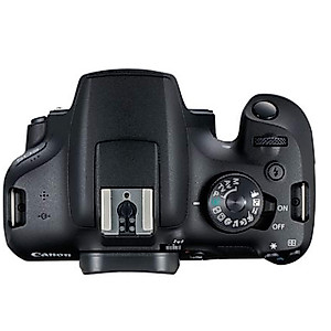 Canon EOS 2000D / Rebel T7 DSLR Camera w/EF-S 18-55mm Zoom Lens + 75-300mm Lens + 2pcs 64GB Memory + Case+ Tripod + Steady Grip Pod + Filters + Macro + 2X Lens + 2X Batteries + More (35pc Bundle)