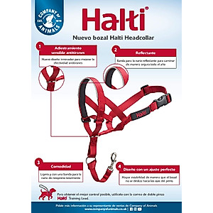 HALTI Headcollar - To Stop Your Dog Pulling on the Leash. Adjustable, Reflective and Lightweight, with Padded Nose Band. Dog Training Anti-Pull Collar for Medium Dogs (Size 3, Red)