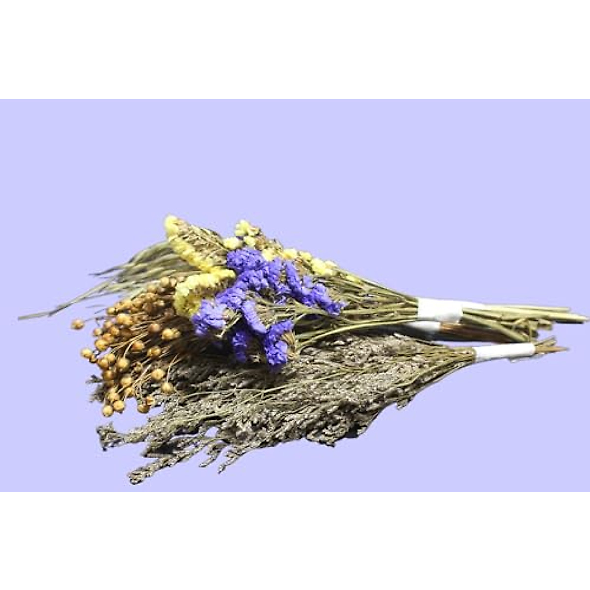 JFWOD Natural Hamster Bedding Flowers Herbs Sprays Treat Cereal Grain for Cage Habitat Enclosure Decor Hamster Chews for Dwarf Syrian Gerbils Mice Mouse Rat Forage Pet Hamster Accessories